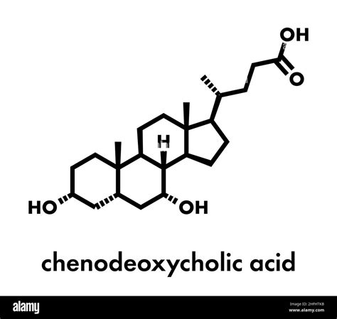 Chenodeoxycholic Acid Drug Molecule Skeletal Formula Stock Vector