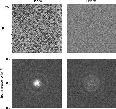 Figure 4 From Modern Approaches To Improving Phase Contrast Electron Microscopy Semantic Scholar