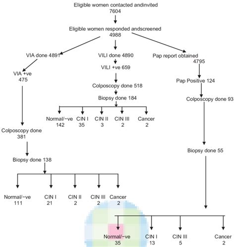 Cervical Cancer Screening Flowchart