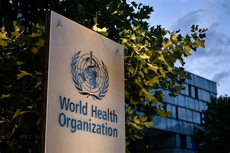 Monitoring And Evaluation Internship By World Health Organization