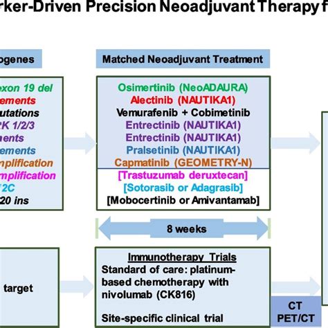 schema for biomarker driven precision neoadjuvant therapy for stage