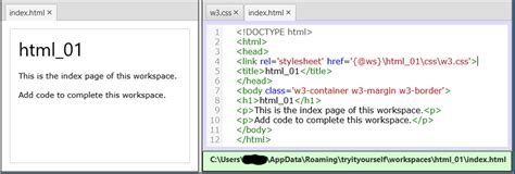 Try It Yourself Application For Teachers And Babes To Test HTML CSS Javascript PHP Code