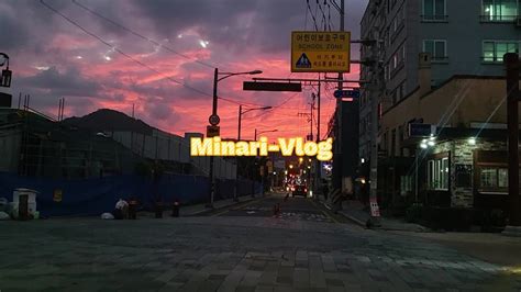 Vlog 또 먹기만하는 브이로그 도미노🍕탕수육 하이라이스 만들기🍛 호박쌈 닭볶음탕 만들기 묵은지참치김밥and잔치국수