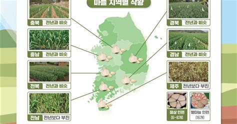 배추·양배추값 시설재배 출하로 하락세