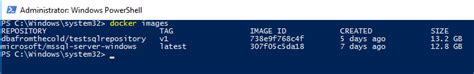SQL Server Containers Part Three DBA From The Cold