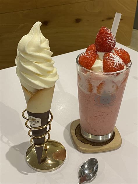 동덕여대 카페 월곡 카페 혼카페 추천 ️ 애견동반 가능한 친환경카페 치코커피” 네이버 블로그