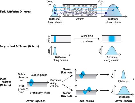 Chromatograms And Separation Efficiency Short Stories In Instrumental Analytical Chemistry