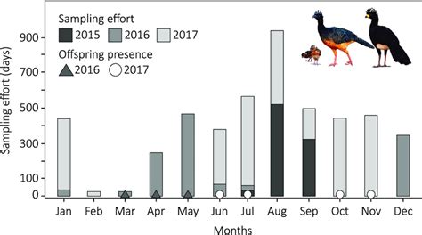 Sampling Effort Y Axis In Sesc Baía Das Pedras Park Northern Download Scientific Diagram