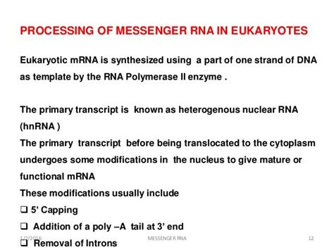 Structure And Function Of Messenger Rna Mrna