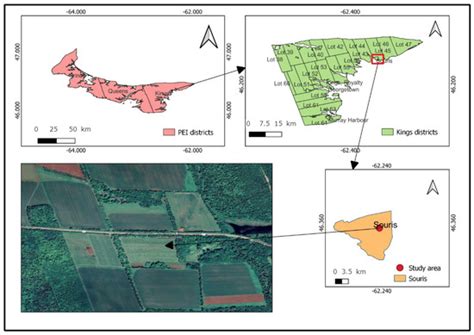 Uav Based Computer Vision System For Orchard Apple Tree Detection And Health Assessment
