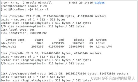 linux磁盘扩容（加硬盘法） linux扩展磁盘 csdn博客