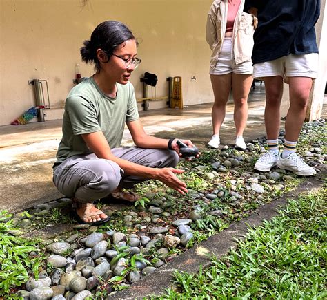 Wild Dot Shirin Demonstrating The Scratch Test Ntu Singapore