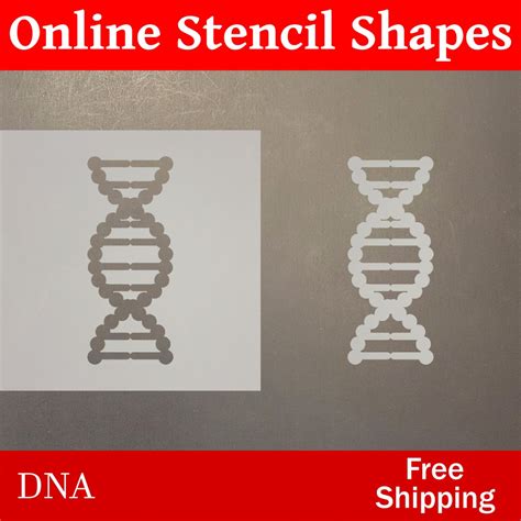 Reusable Dna Mylar Stencil Plastic Art Template Etsy