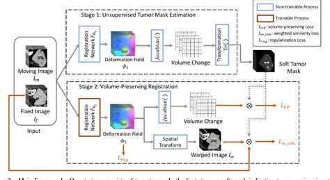 figure 2 from preserving tumor volumes for unsupervised medical image
