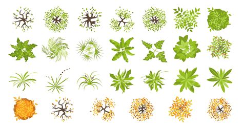 Premium Vector Set Of Trees And Plants Top View For Landscape Design Icon Set Foliage Grass