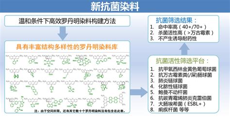 创新前沿自然 通讯报道我校抗耐药菌活性化合物相关研究进展