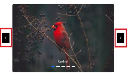 Styles And Appearance In React Carousel Component Syncfusion