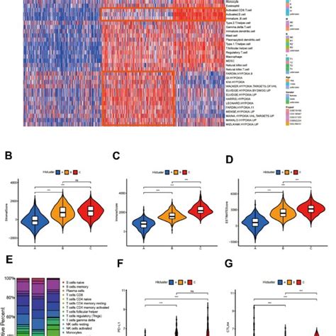 Gastric Cancer Subtypes With Different Immune Cell Infiltration And