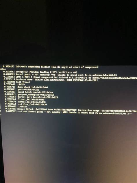 Kernel Panic When Trying To Install Next To Windows 11 R Endeavouros