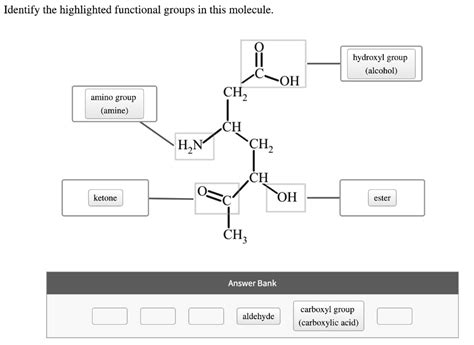 Functional Groups Carboxyl
