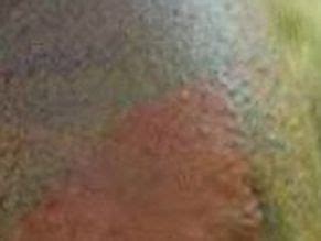 Dave Bautista Nude Aznude Men