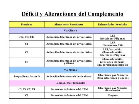 Sample Mind Map Mind Map