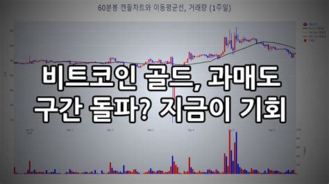 비트코인 골드 과매도 구간 돌파 지금이 기회 Youtube