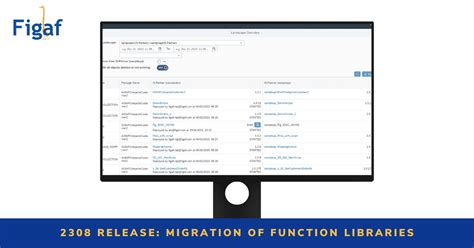 release 2308 migration of function libraries figaf