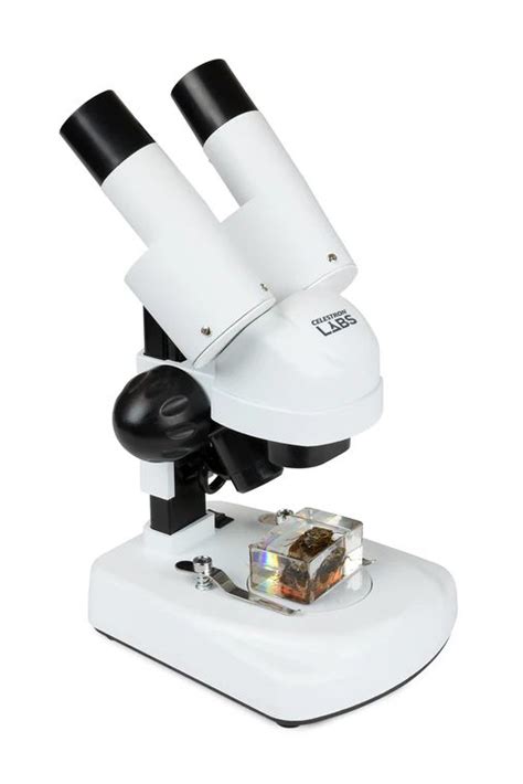 Celestron S20a Angled Stereo Microscope First Light Optics