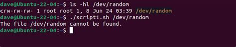 How To Check If A File Exists In Linux Bash Scripts