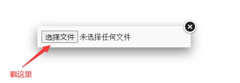 怀旧游戏web端emulatorjs的docker搭建教程 哔哩哔哩