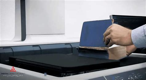 Understanding Scanner Input And Output Key Facts Every User Should Know Updated July 2025