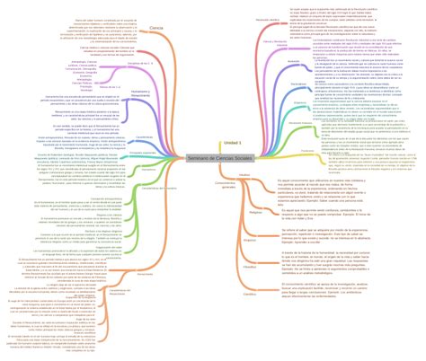 Seminario De Ciencias Sociales Coggle Diagram