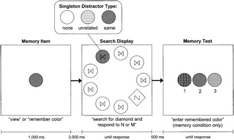 Schematic Representation Of The Stimuli And Procedure Of Experiment 1 Download Scientific
