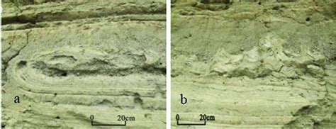 A Convolute Structure In Liquefaction Crimp Deformation B Load Download Scientific Diagram