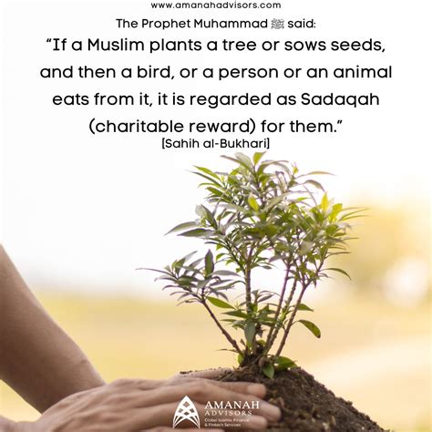 Ali Ikram Posted On Linkedin