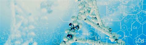 What Is Ectd The Story Of The Electronic Common Technical Document Extedo