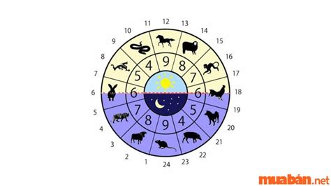 Tính Các Giờ Trong Ngày Theo 12 Con Giáp đơn Giản Chuẩn Xác