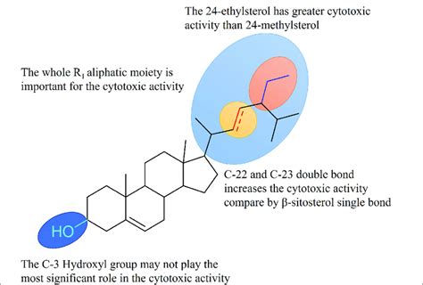 Structure Activity Relationships Of Phytosterol From Root Bark Of R Download Scientific