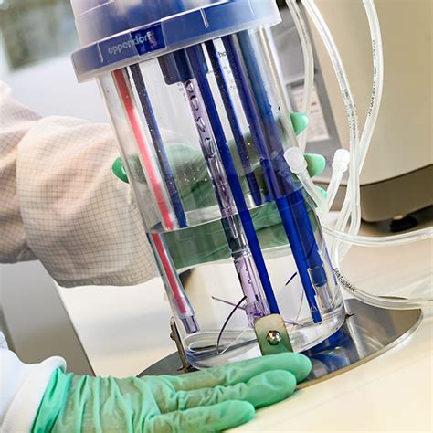 GMP BioManufacturing Plasmid DNA Proteins Conjugates Eurogentec