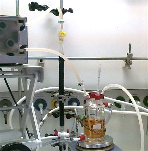 En Downstream Processing