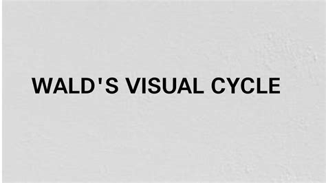 Walds Visual Cycle Youtube