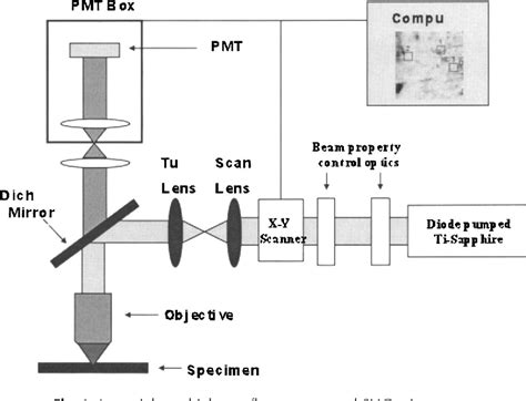 Figure 1 From Spherical Aberration Correction In Multiphoton Fluorescence Imaging Using