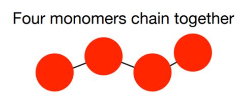 Lecture 32 Processing Of Polymers Flashcards Quizlet