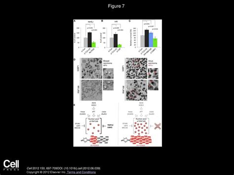 Volume Issue Pages August Ppt Download