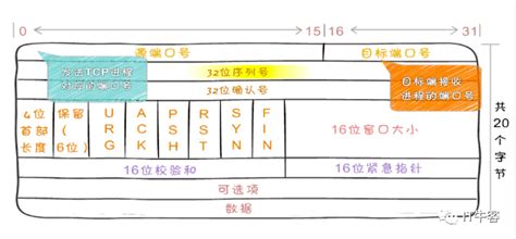 Tcp、udp是如何流量、拥塞控制的？今天一口气讲透！保证数据报文序号