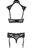 Lace Lingerie With Collar And Garters 2p Cottelli