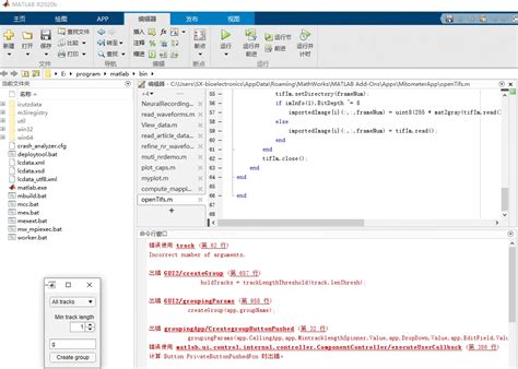 Segmentation And Tracking Completed But Nothing Shows Issue Aelefebv Mitometer GitHub