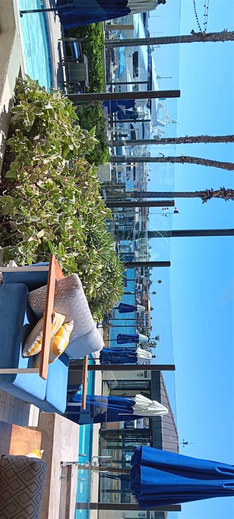 A View From The Office Dave Buote