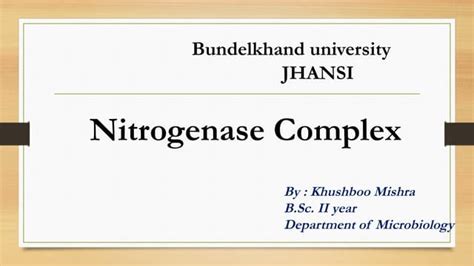 Nitrogenase Complex And Its Functionpptx
